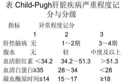 Child分级分级标准图