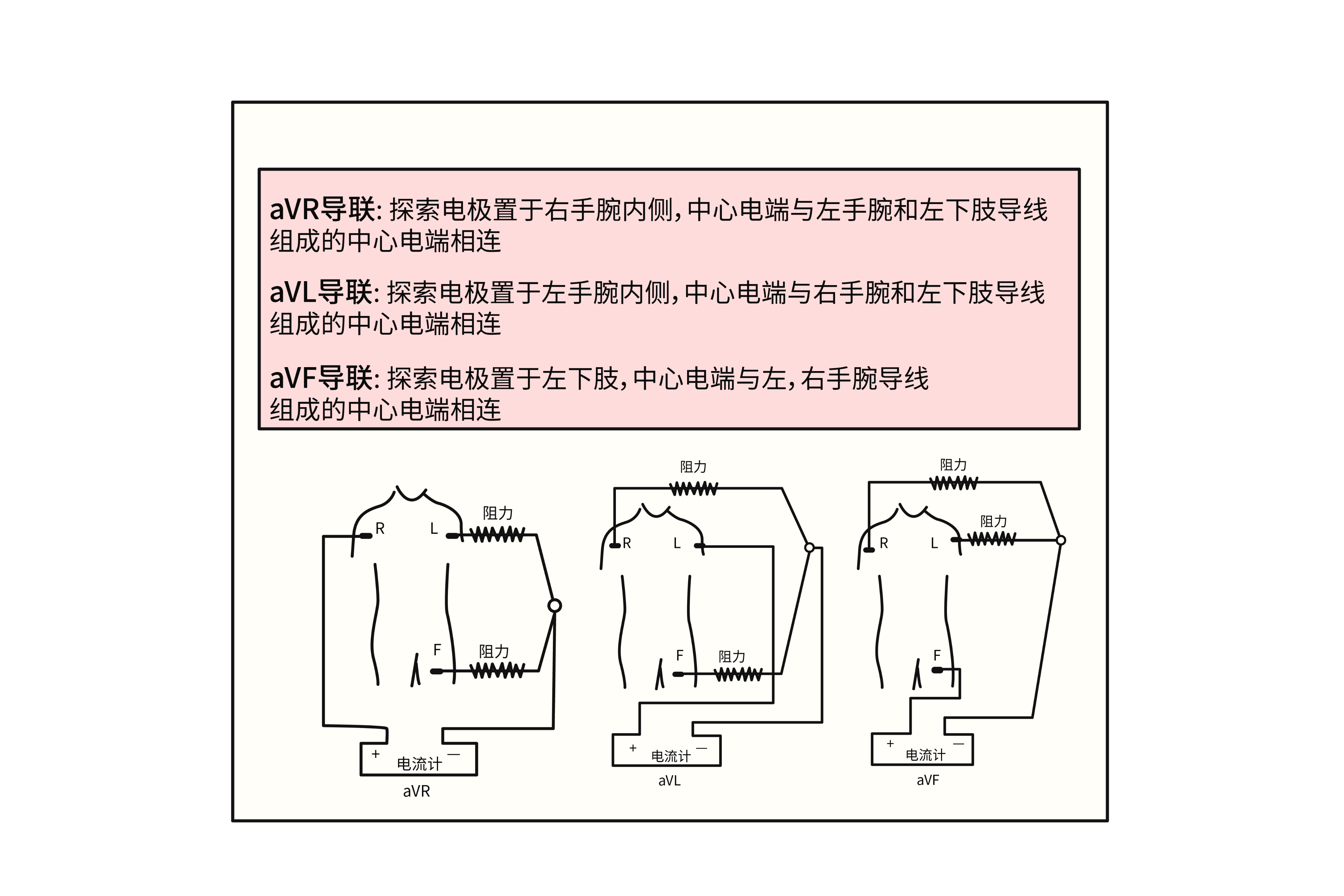 心电图avr avf avl代表什么